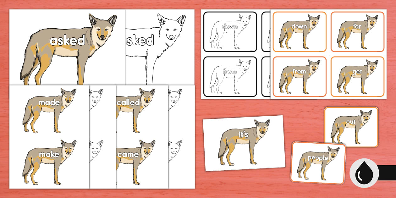 100 High Frequency Words on Coyote (Teacher-Made) - Twinkl