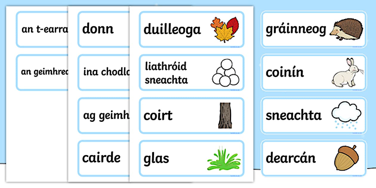 A Little Bit of Winter Vocabulary Gaeilge (teacher made)