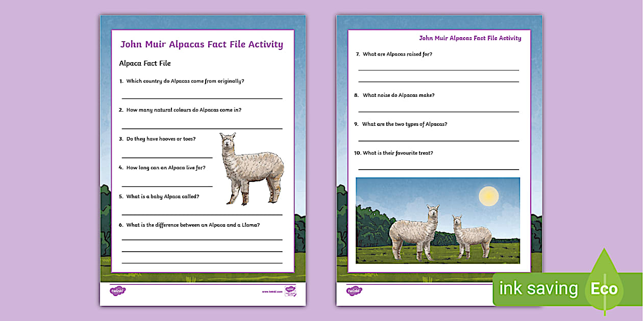 John Muir Alpacas Fact File Activity | Twinkl - Twinkl