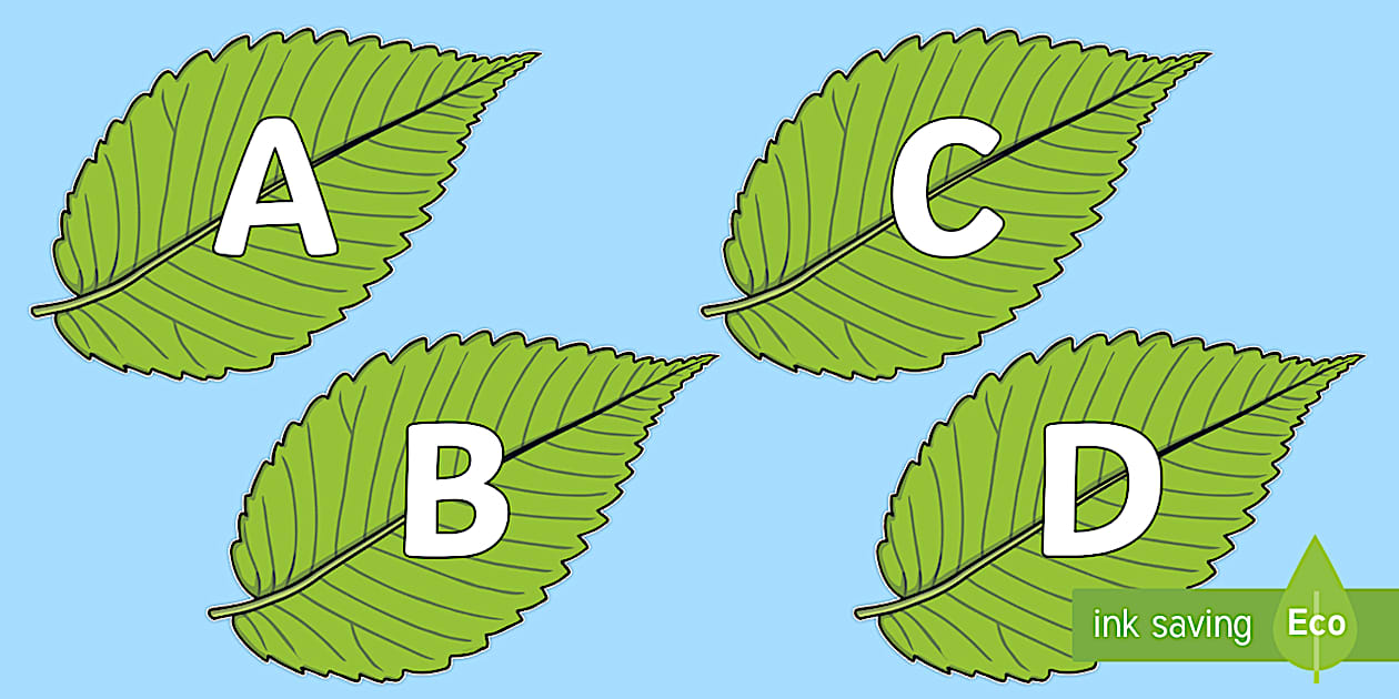 A-Z Alphabet on Spring Leaves (teacher made) - Twinkl
