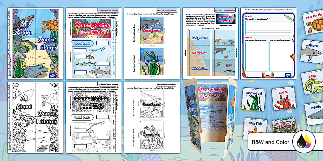 Ocean Habitats Worksheet for Kindergarten | Twinkl USA
