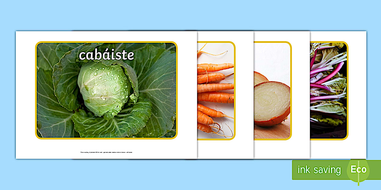 Vegetables Display Photos Gaeilge (teacher made) - Twinkl