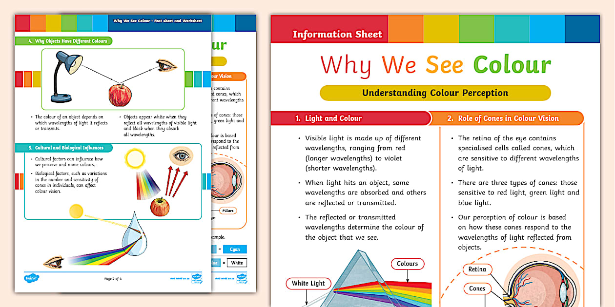 Grade 8 NS Term 3 Why We See Colour Notes and Activity CAPS