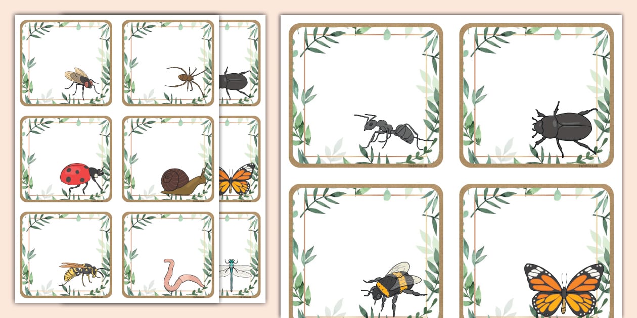 Botanical-Themed Minibeast Peg Labels (teacher made)