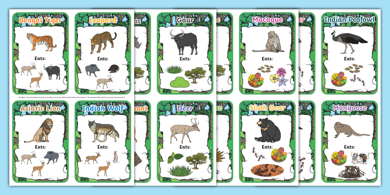 Animals in India Carnivores, Herbivores and Omnivores Sorting Activity
