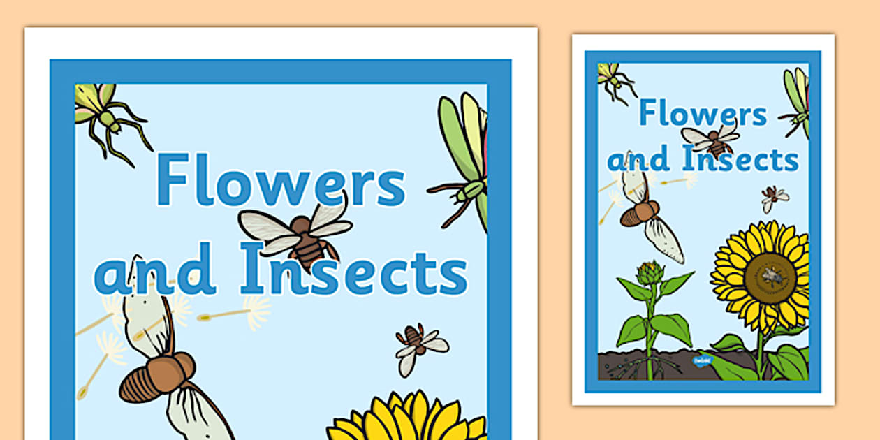 Black and White Flowers and Insects Book Cover - Twinkl