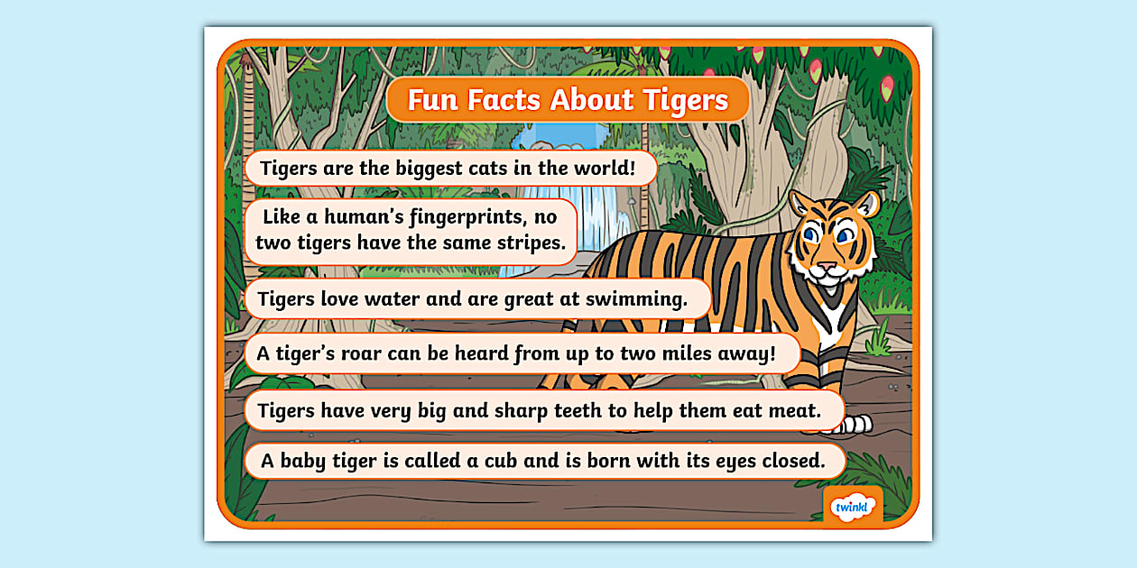 Fun Facts About Tigers Display Poster (Teacher-Made)