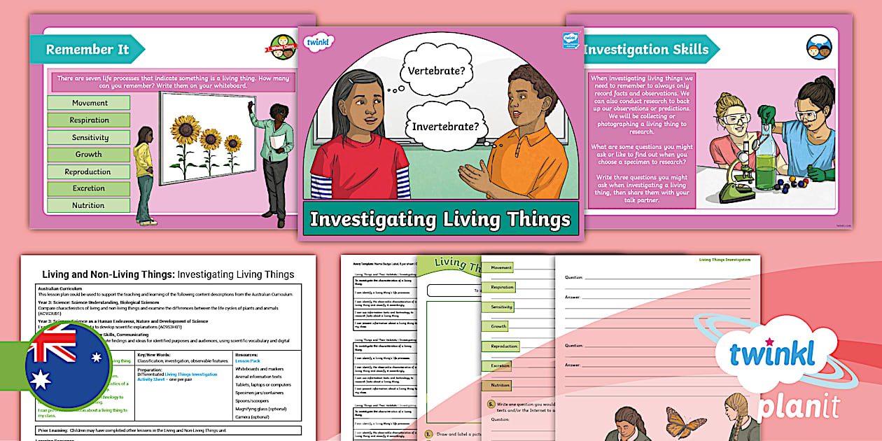 Y3 Science Living and Non-Living Things Investigating L6