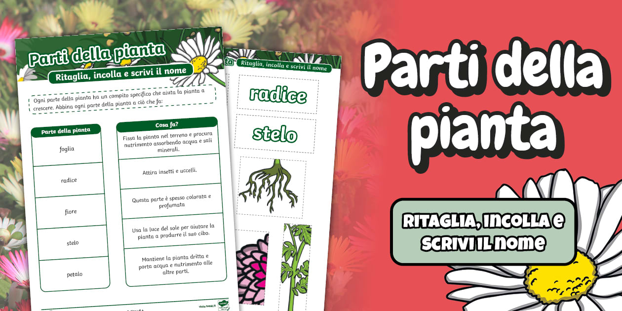 Parti della pianta: Ritaglia, incolla e scrivi il nome