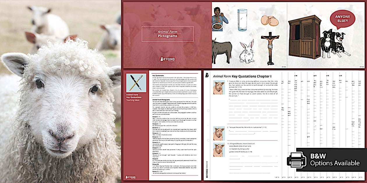 Animal Farm Key Quotes | Animal Farm | GCSE English | Beyond