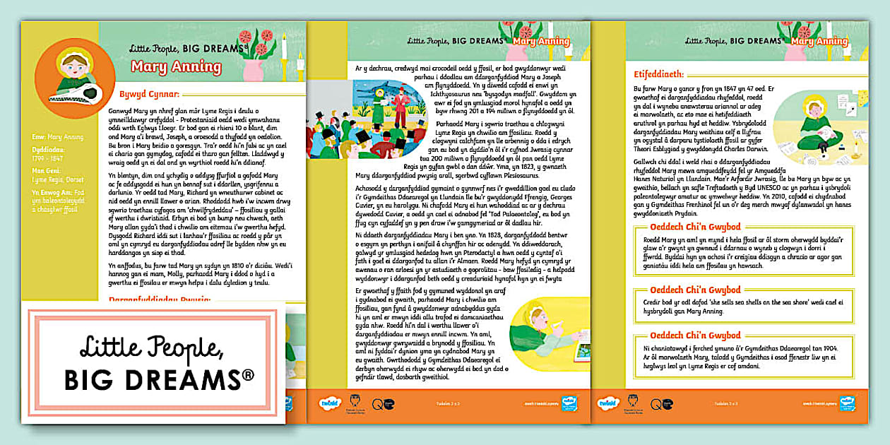 Ffeil Ffeithiau Mary Anning (teacher made) - Twinkl