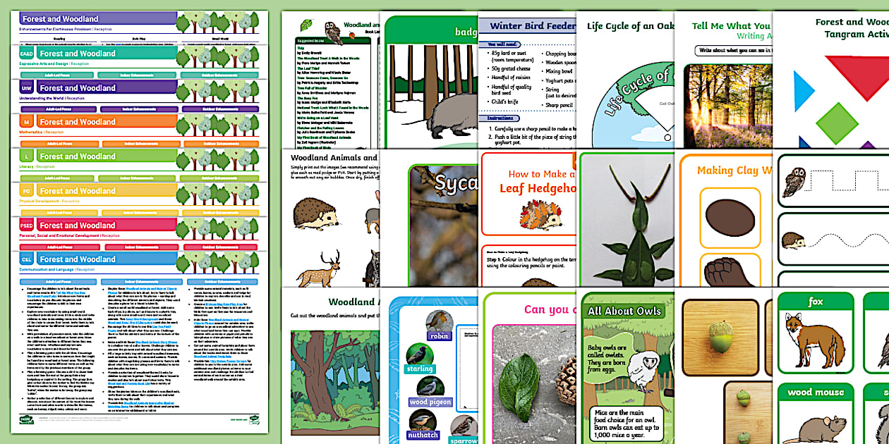 EYFS Forest & Woodland Plan and Continuous Provision Ideas