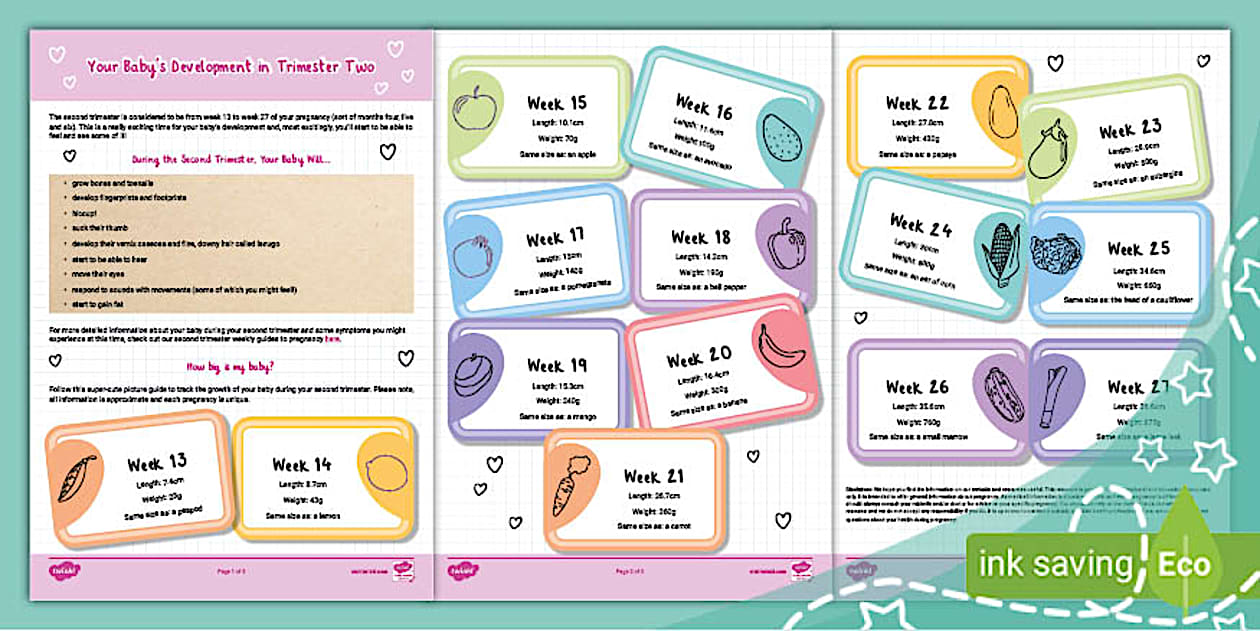 FREE! - Your Baby's Development in Trimester Two