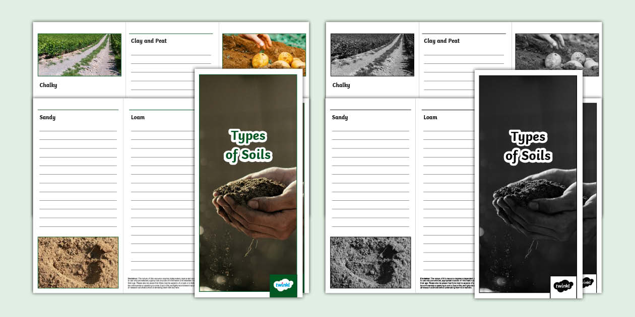 Types of Soils Leaflet Template (teacher made) - Twinkl