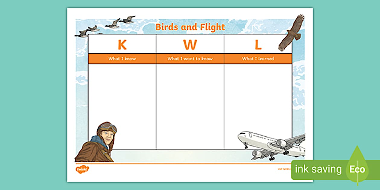 Birds and Flight KWL Grid (Hecho por educadores) - Twinkl