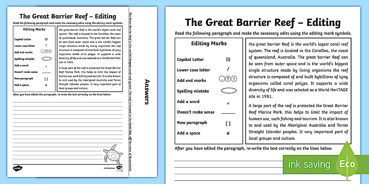 Paragraph Correction Exercises | Primary English Resources