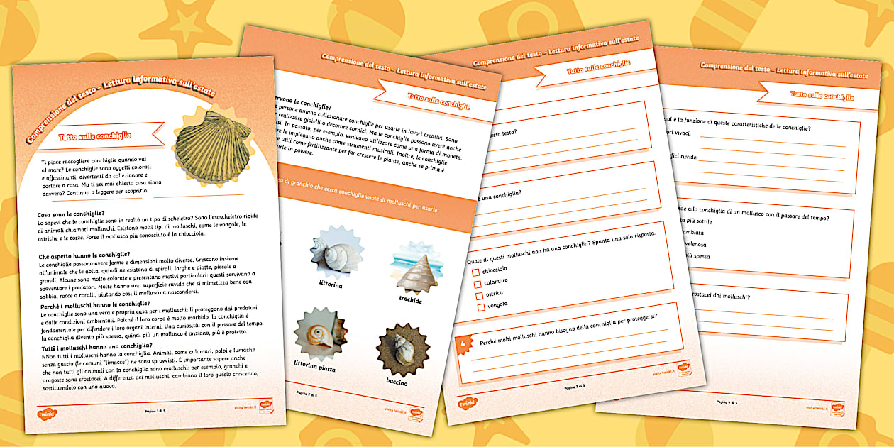 Le Conchiglie - Lettura per l'Estate con - Twinkl