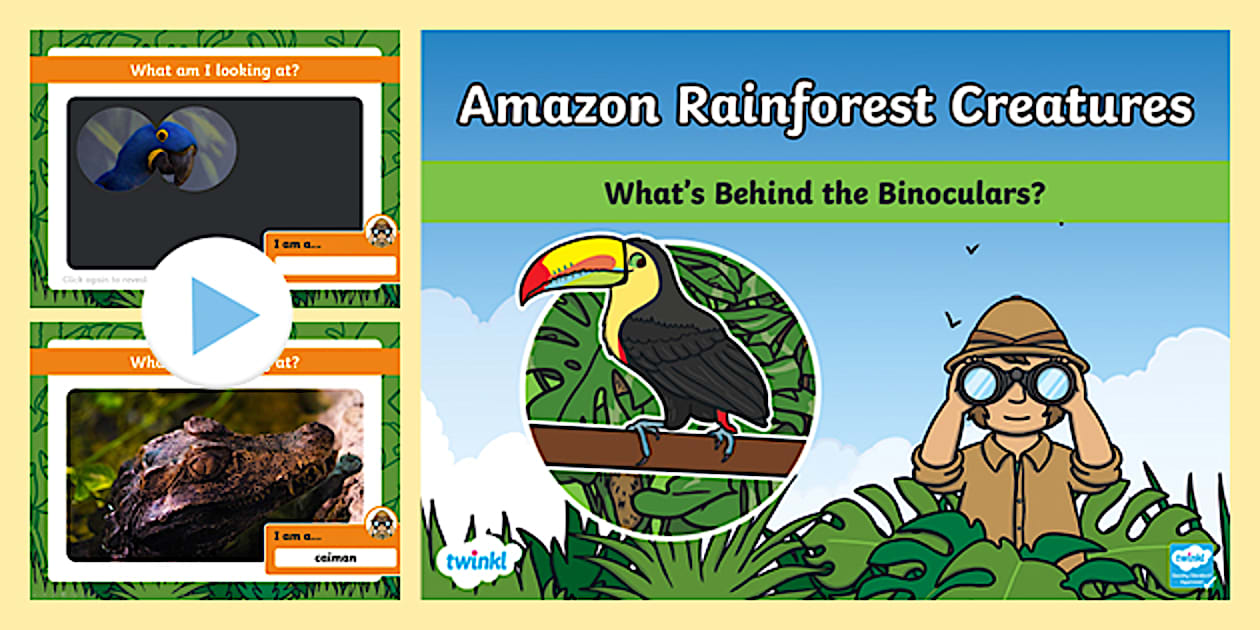 Amazon Rainforest PowerPoint - What's Behind The Binoculars?