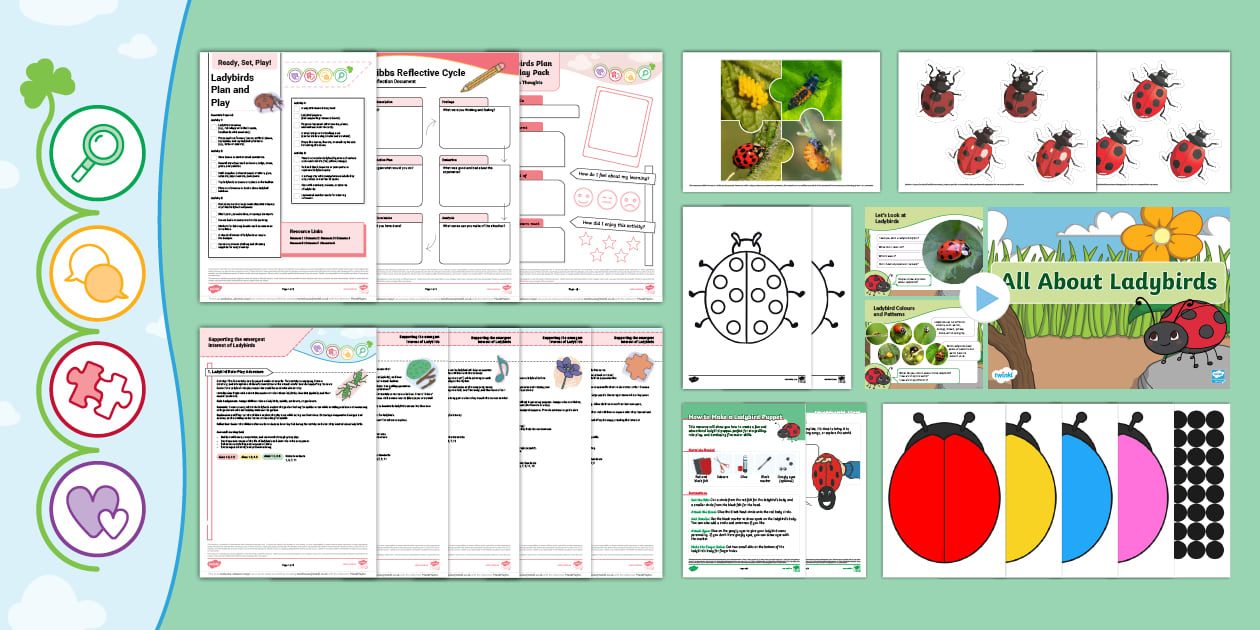Ladybird Plan and Play Pack (teacher made) - Twinkl