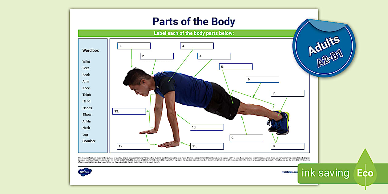 ESL Parts of the Human Body Labelling Activity [Adults, A2]