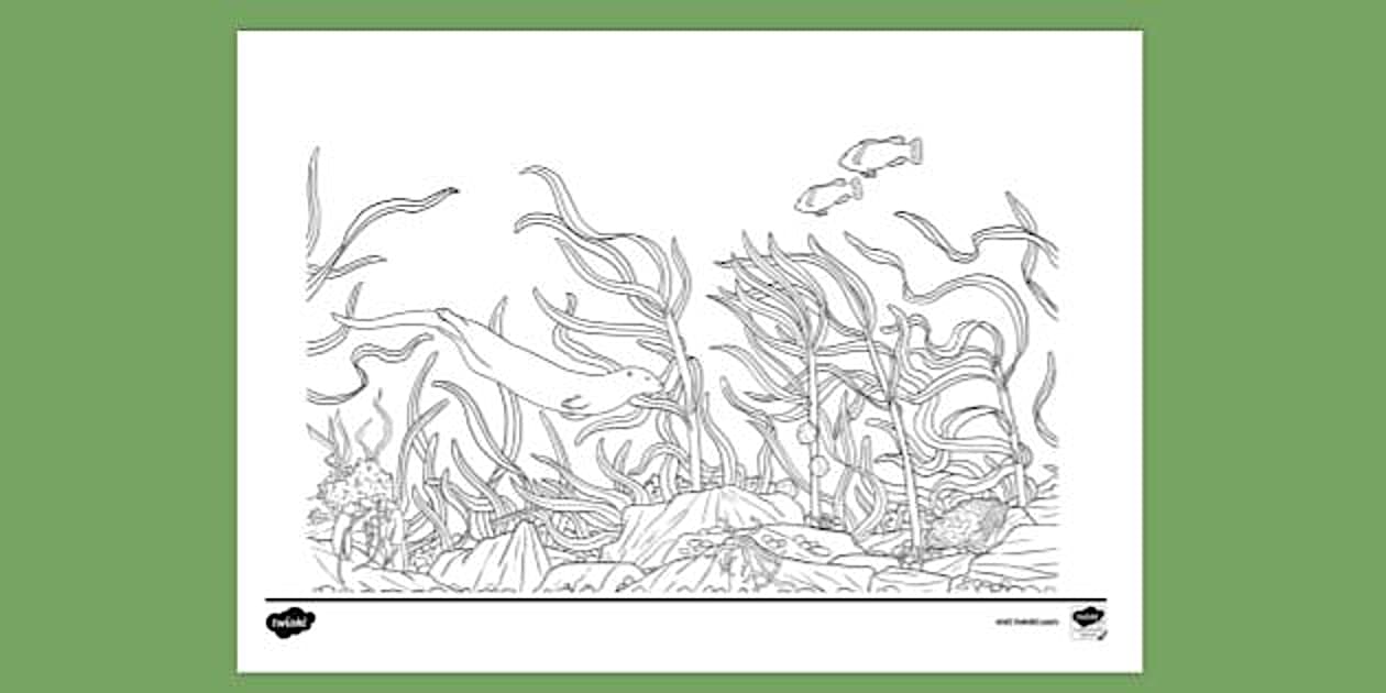 Kelp Forest Colouring Page - Creative Fun for Children