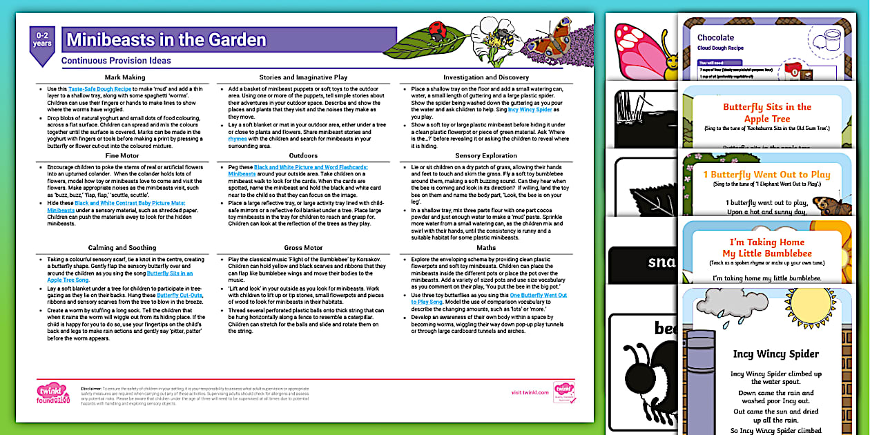 EYFS Minibeasts in the Garden Continuous Provision Ages 0-2