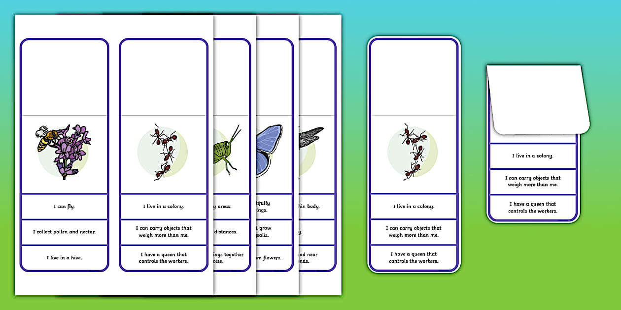 What Am I? Guess the Insect Game (teacher made) - Twinkl