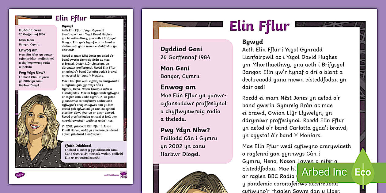 Ffeil Ffeithiau Elin Fflur