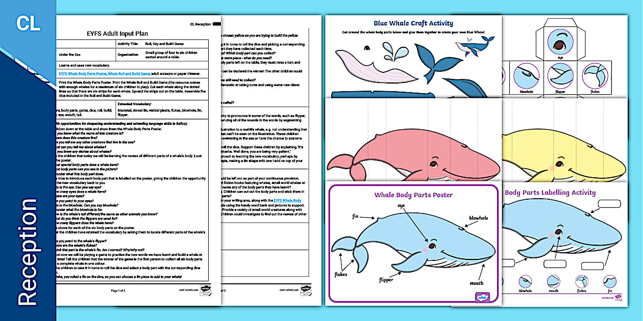 EYFS Under the Sea Roll, Say and Build Adult Input Plan
