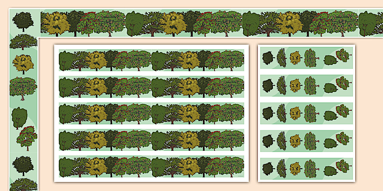 Trees Display Borders (teacher made) - Twinkl