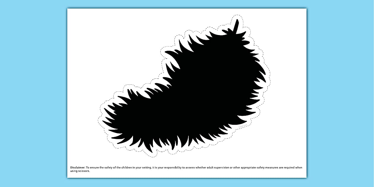 Feather Silhouette Cut-Out (teacher made) - Twinkl