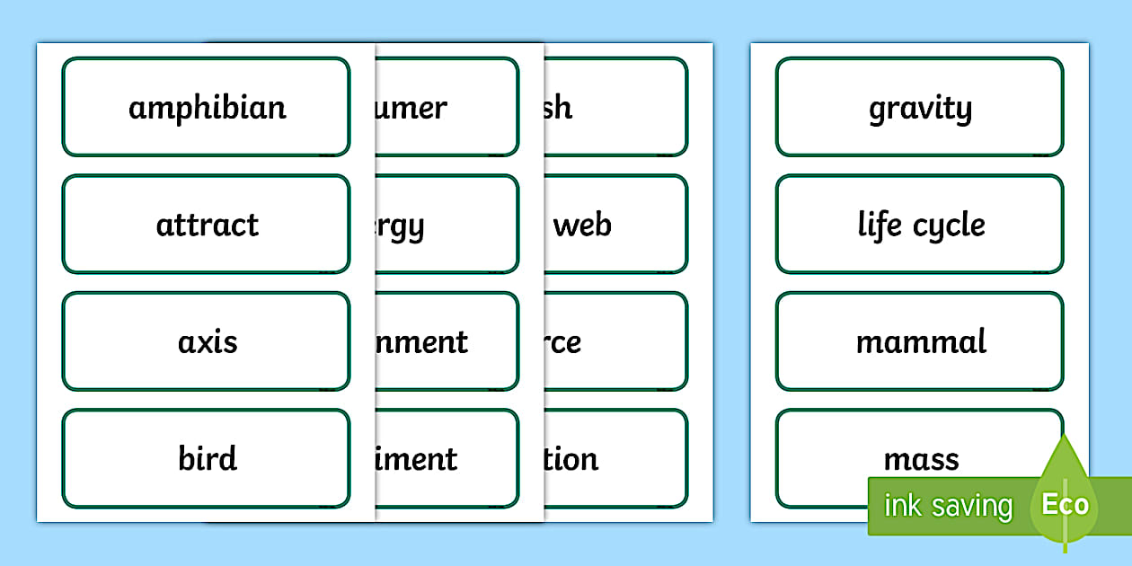 Talk Time Science 3 Word Cards (teacher made) - Twinkl