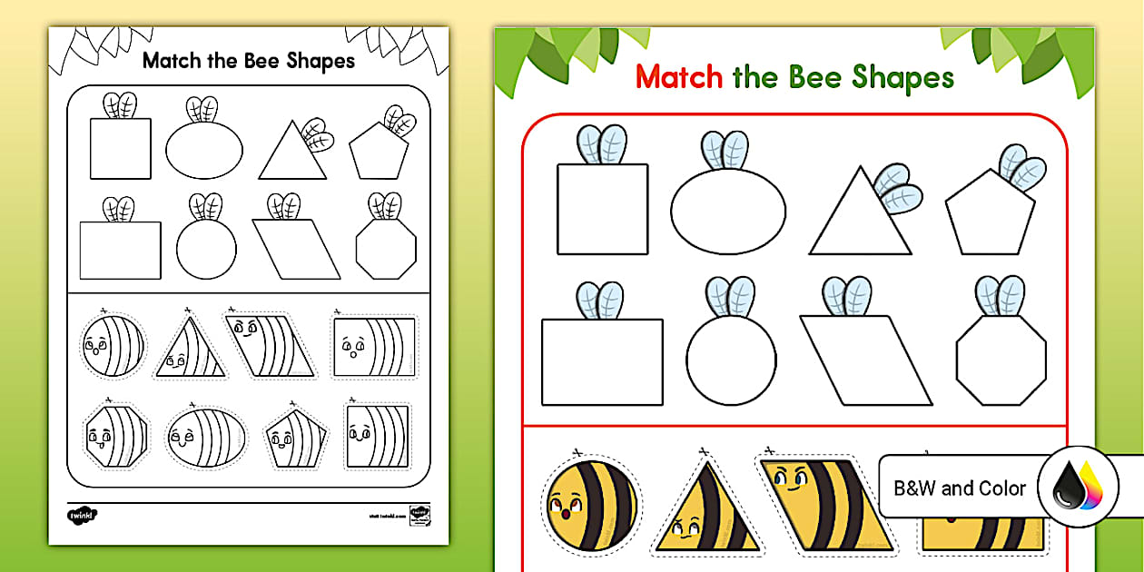 Bee Shapes Matching Worksheet Teaching Resource | Twinkl USA