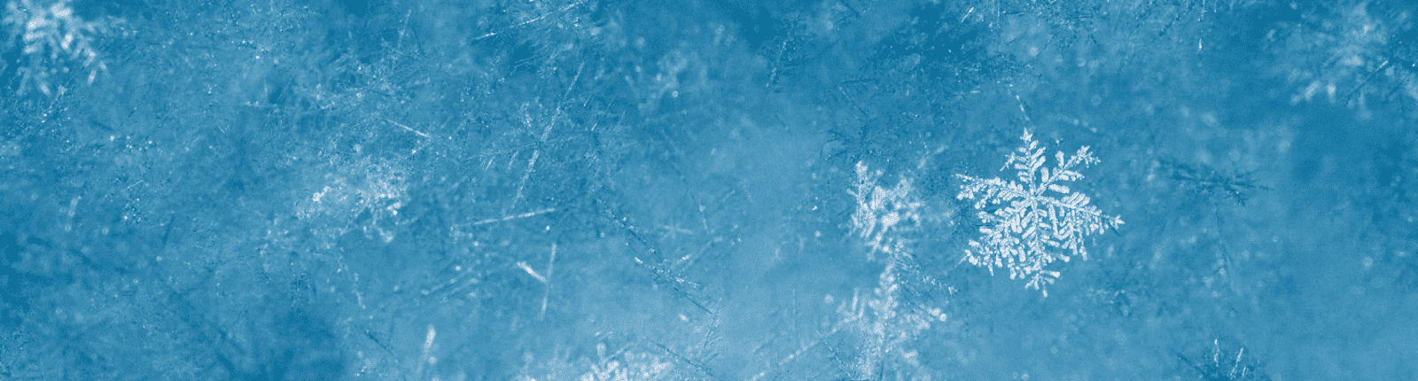 Teaching assistants’ FAQs and rights as UK braces for chilly return to work