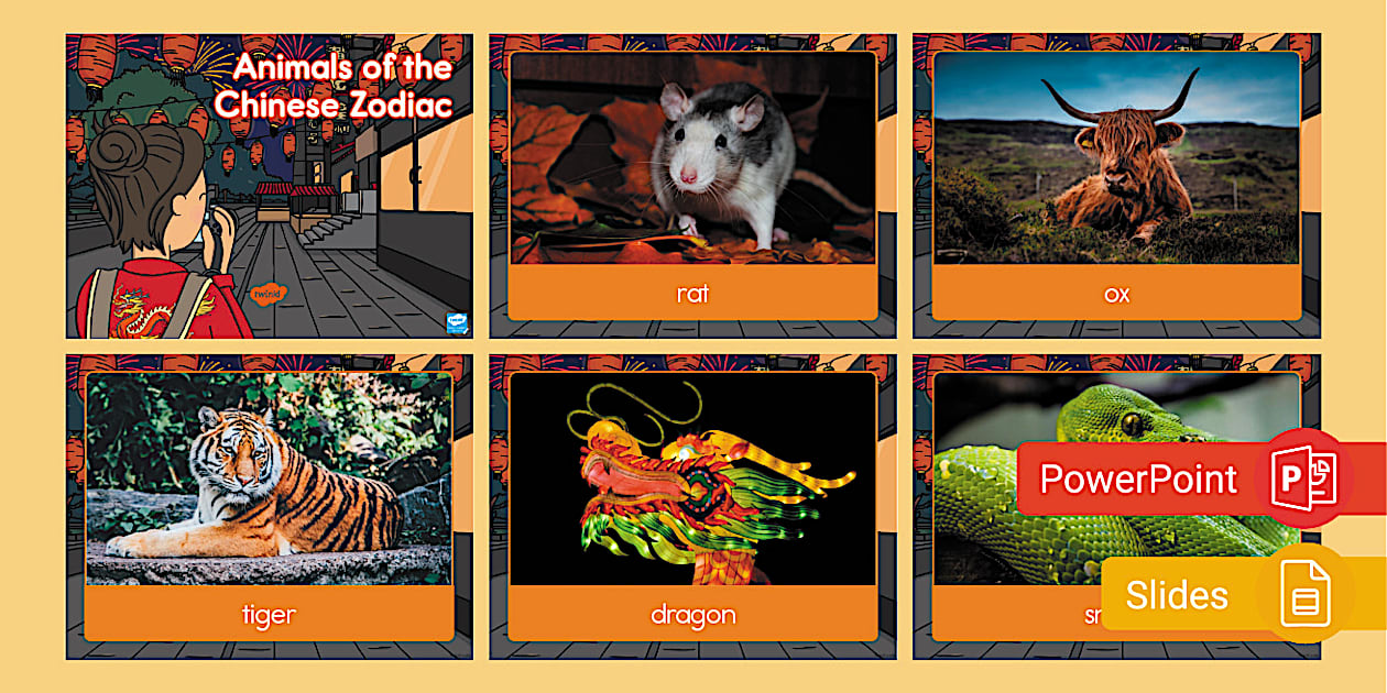 Animals of the Chinese Zodiac Words and Photos PowerPoint & Google Slides