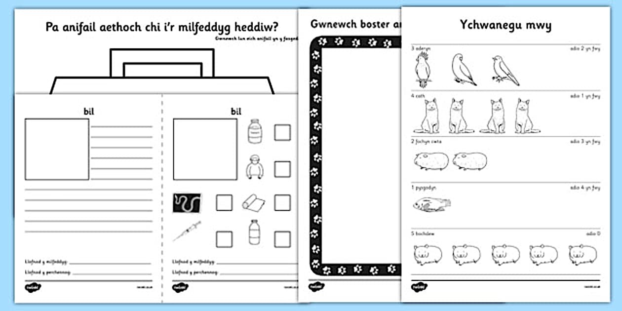 Taflenni Chwarae Rôl Milfeddygfa (teacher made) - Twinkl