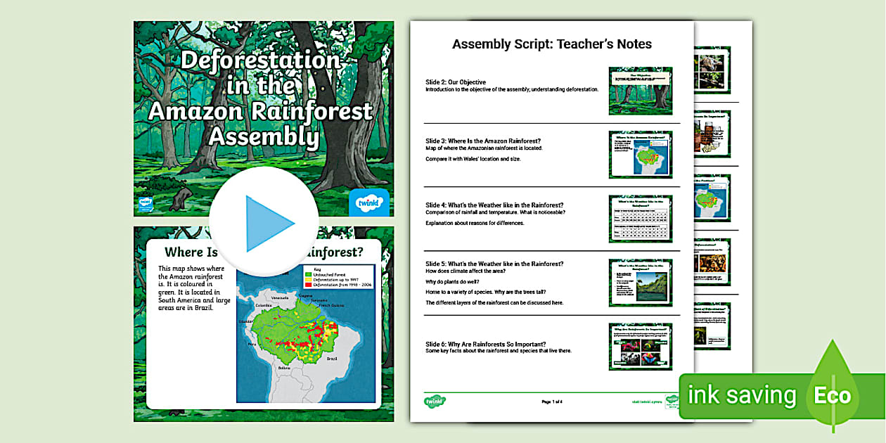 Deforestation in the Amazon Rainforest Assembly - Twinkl