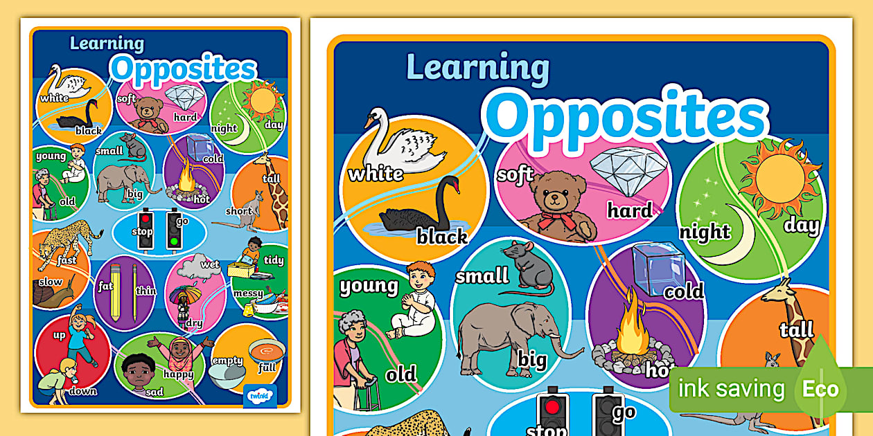 Opposites Poster | Vocabulary - Primary (Teacher-Made)