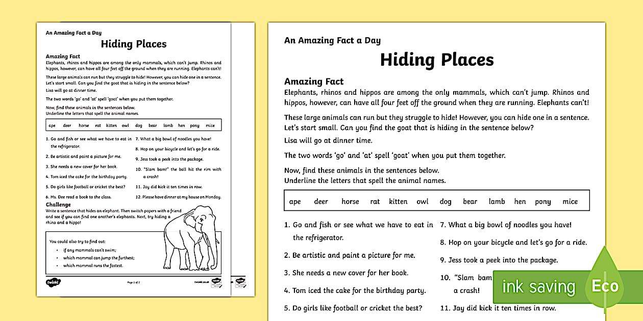 Editable Hiding Places Worksheet (teacher made) - Twinkl