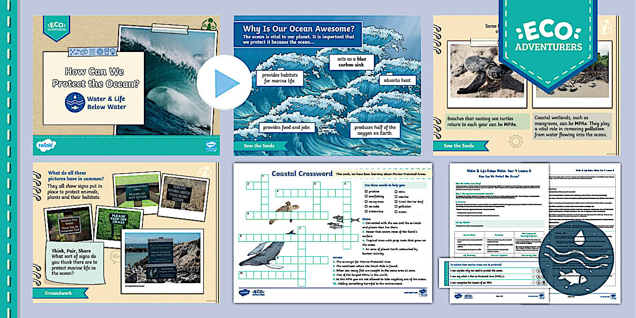 Year 4 Water: Lesson 6 - How Can We Protect the Ocean?