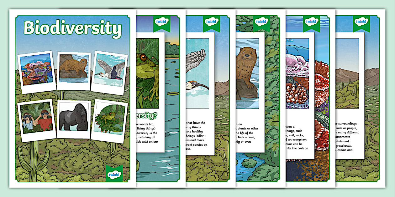Biodiversity Editable Poster Set (teacher made) - Twinkl