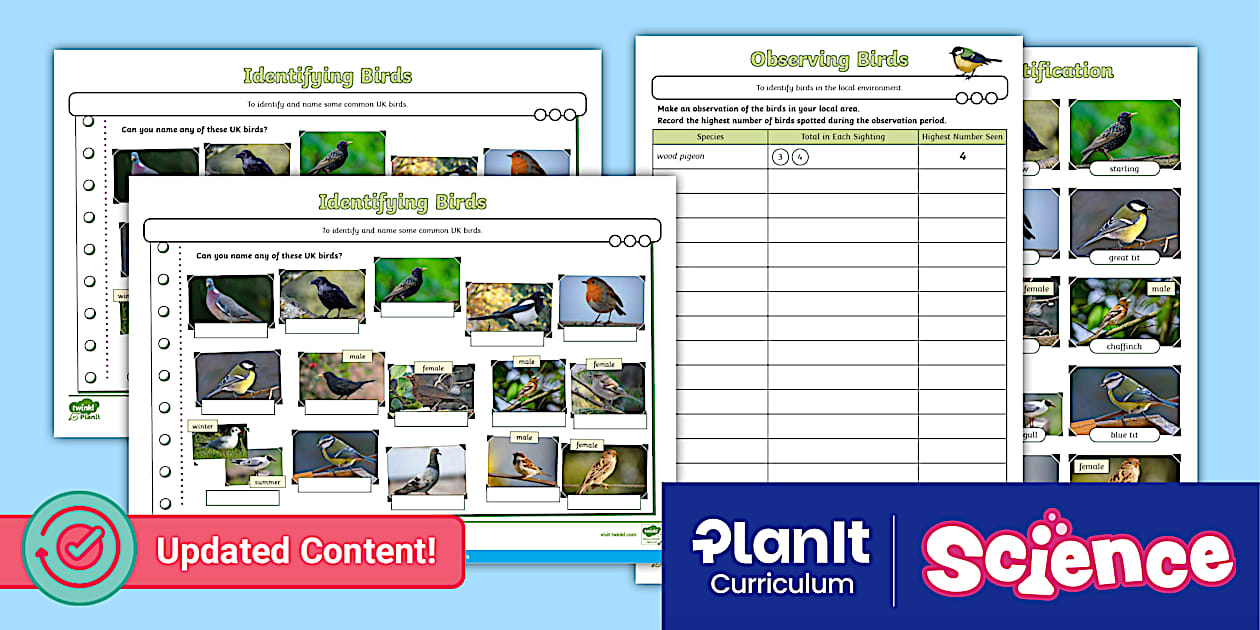 Science: Biodiversity: Birds Year 3 Home Learning Tasks