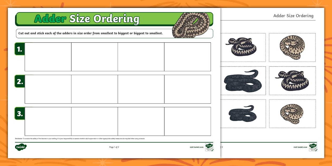 Adder Size Ordering Activity Sheet (teacher made) - Twinkl