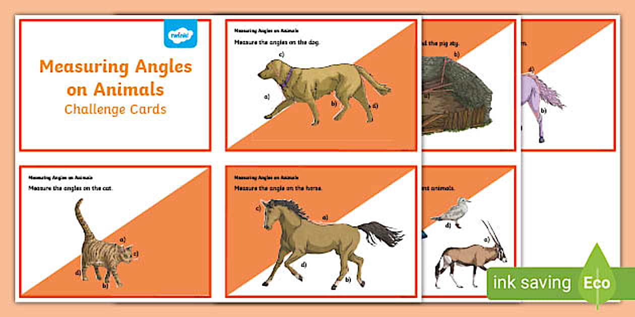 Measuring Angles on Animals Challenge Cards (teacher made)