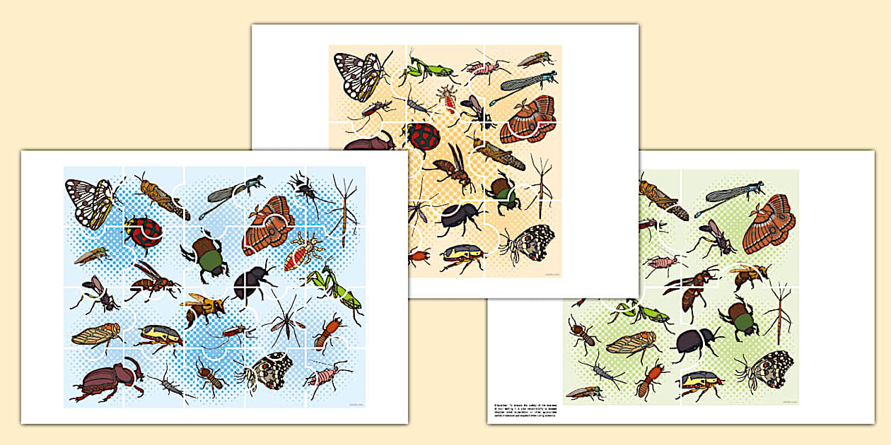 Grade 3 Life Skill Term 2 SA Insects Jigsaw Puzzles (CAPS)