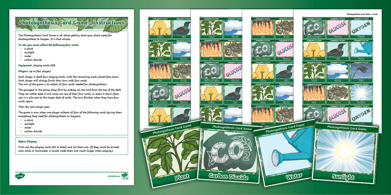 Photosynthesis and Nutrition in Plants Card Game for Kids!