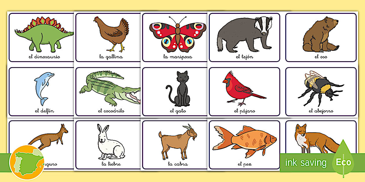 Tarjetas educativas: Los animales