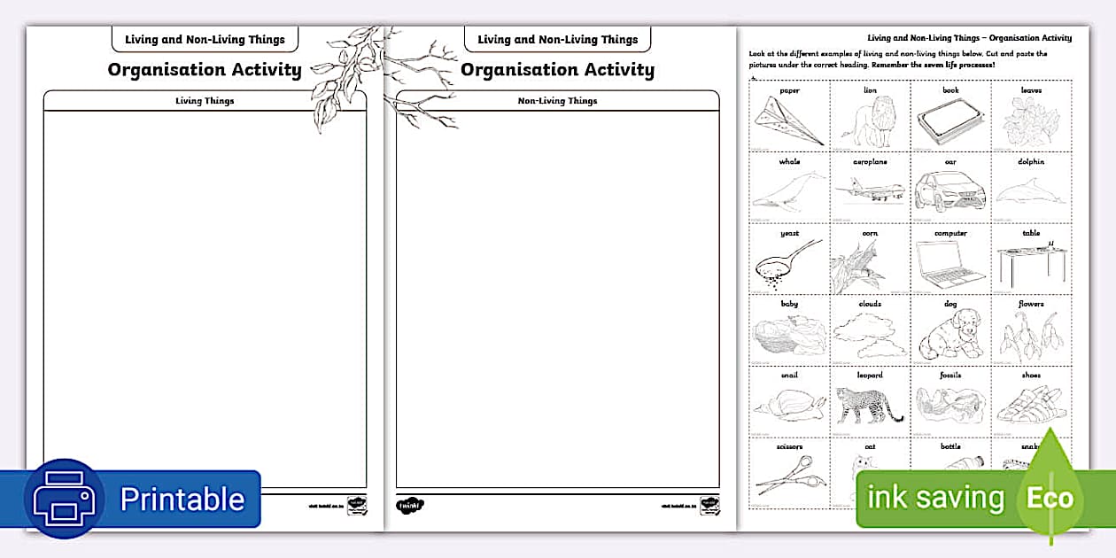 Living and Non-Living Things − Organisation Activity