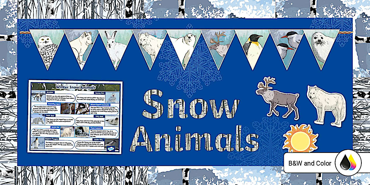 Winter Snow Animals Bulletin Board Pack (teacher made)