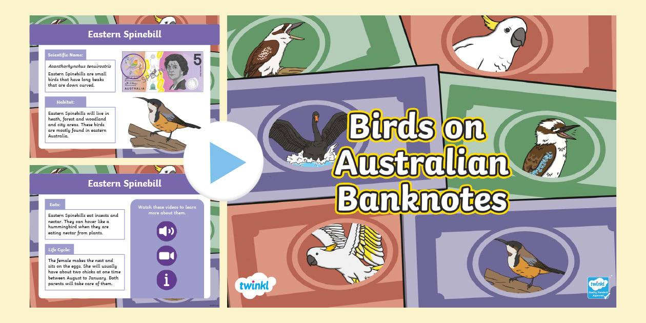 Birds on Australian Banknotes PowerPoint (teacher made)